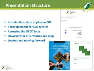 Patrick ten Brink of IEEP OECD tools and reform flowchart at IDDRI event Paris 1 June 2012 | PPT