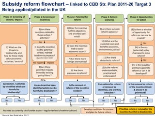 Patrick ten Brink of IEEP OECD tools and reform flowchart at IDDRI event Paris 1 June 2012 | PPT