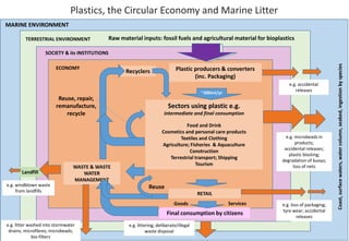 Patrick ten brink of IEEP at the T20 Circular Economy task force papers introduction | PPT