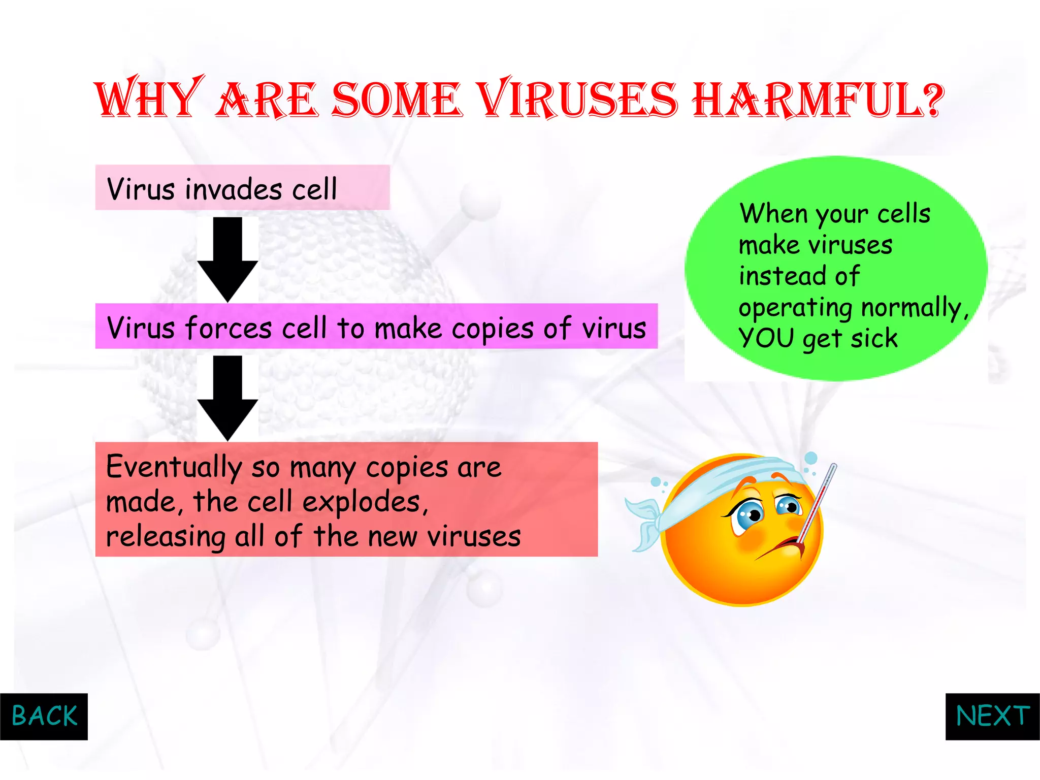viruses | PPT