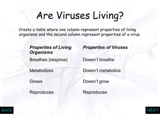 viruses | PPT