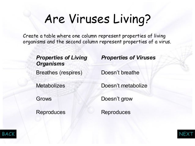 viruses