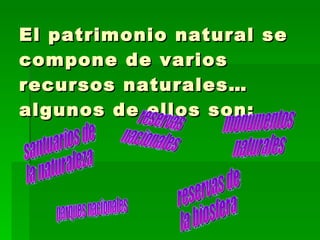 Patrimonio natural | PPT