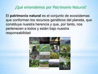 Patrimonio natural | PPT