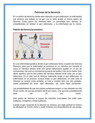 Patrón de la herencia | DOCX