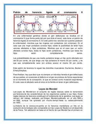 Patrón de la herencia | DOCX