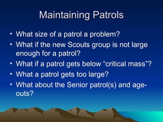 Scouting and patrol system123-method.ppt
