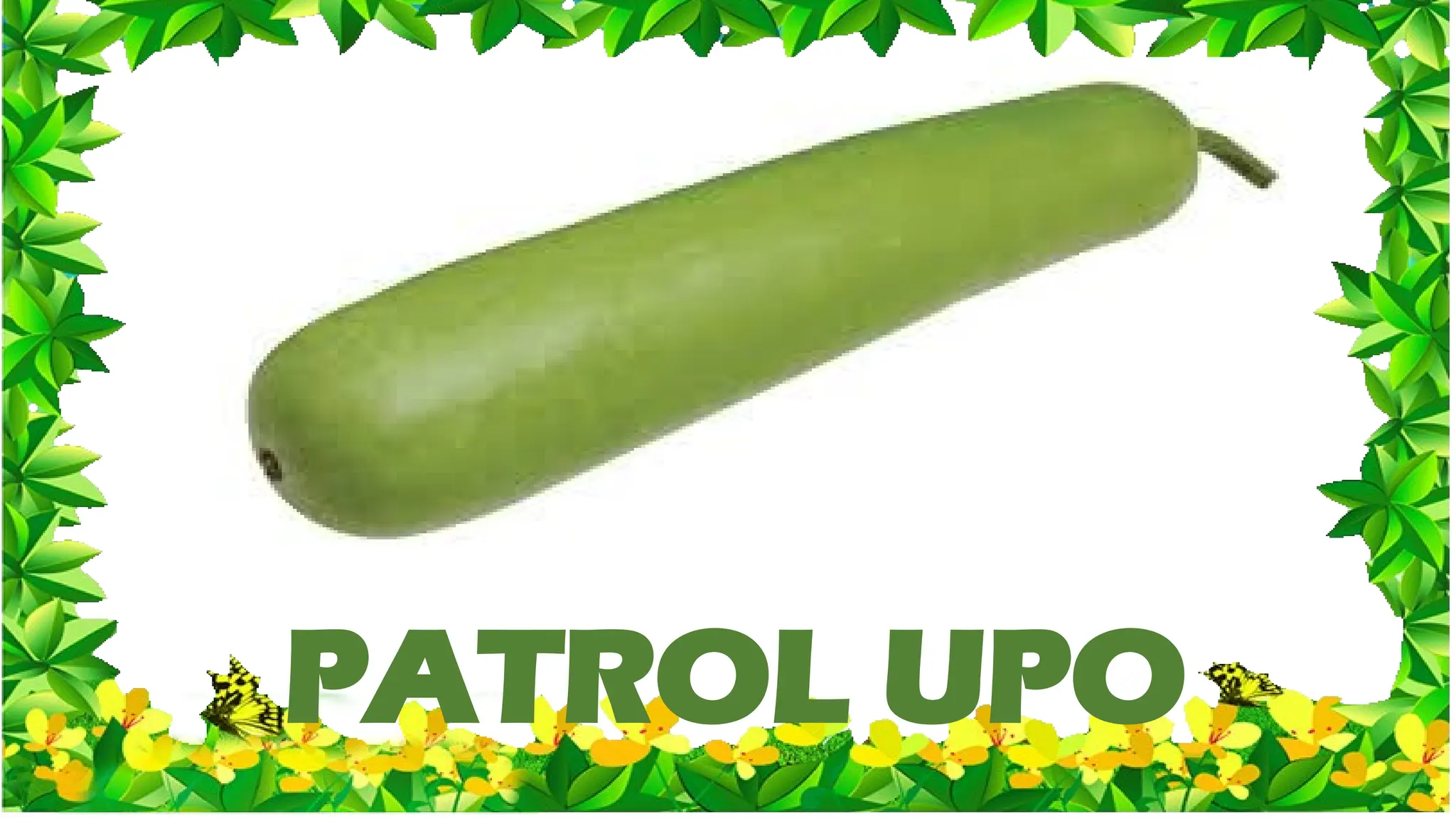 GIRL SCOUT JUNIOR SCOUT PATROL NAMES.pptx