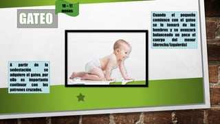 Patrones de movimiento del desarrollo1 | PDF