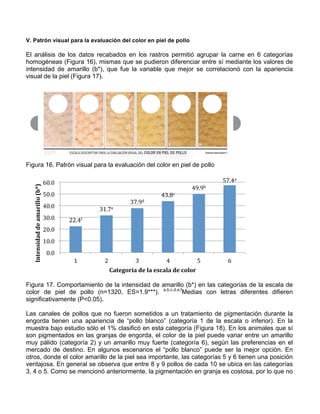 Patrones fotográficos para la evaluación del color en piel y en carne ...