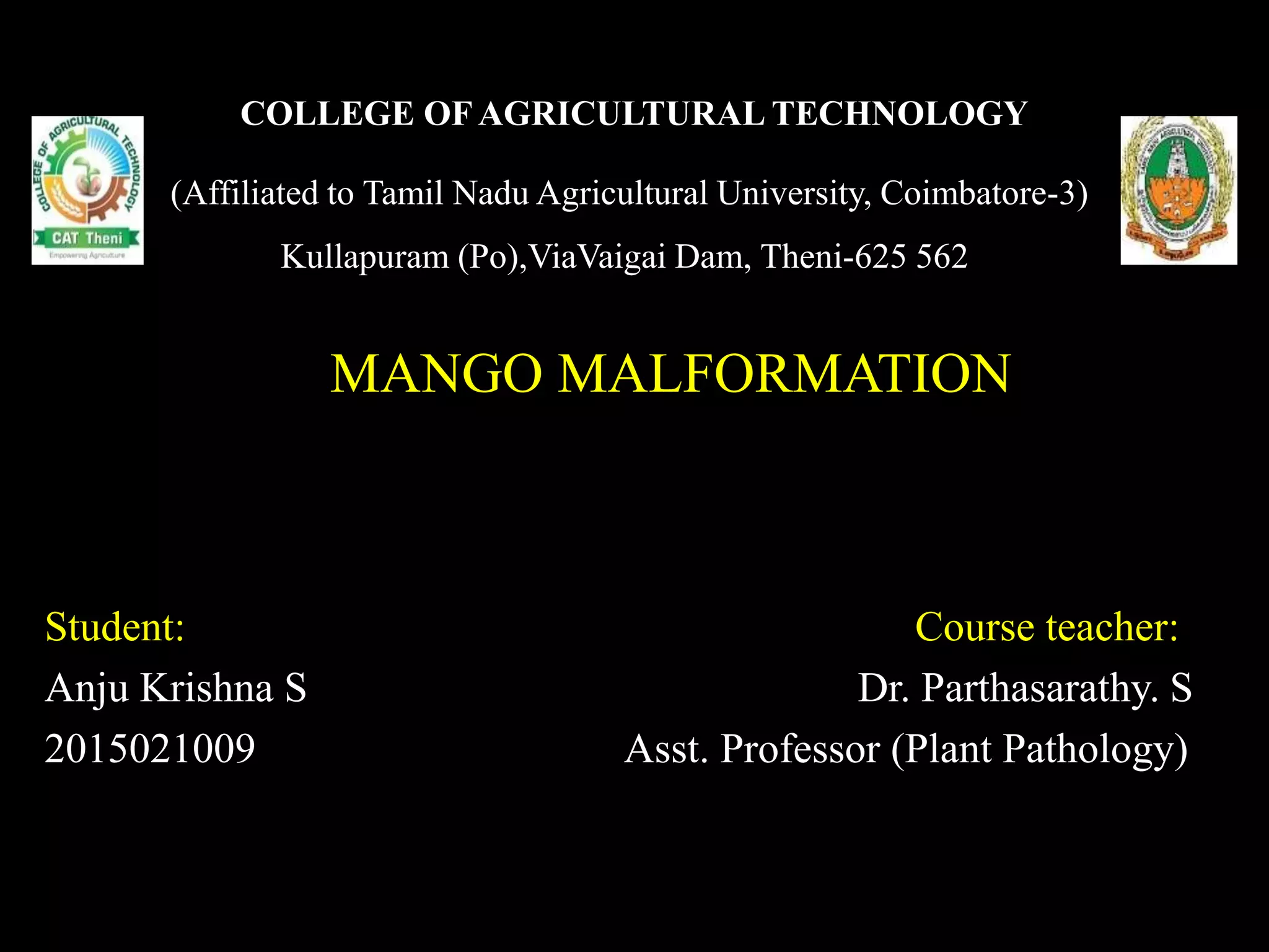 Mango malformation | PPTX