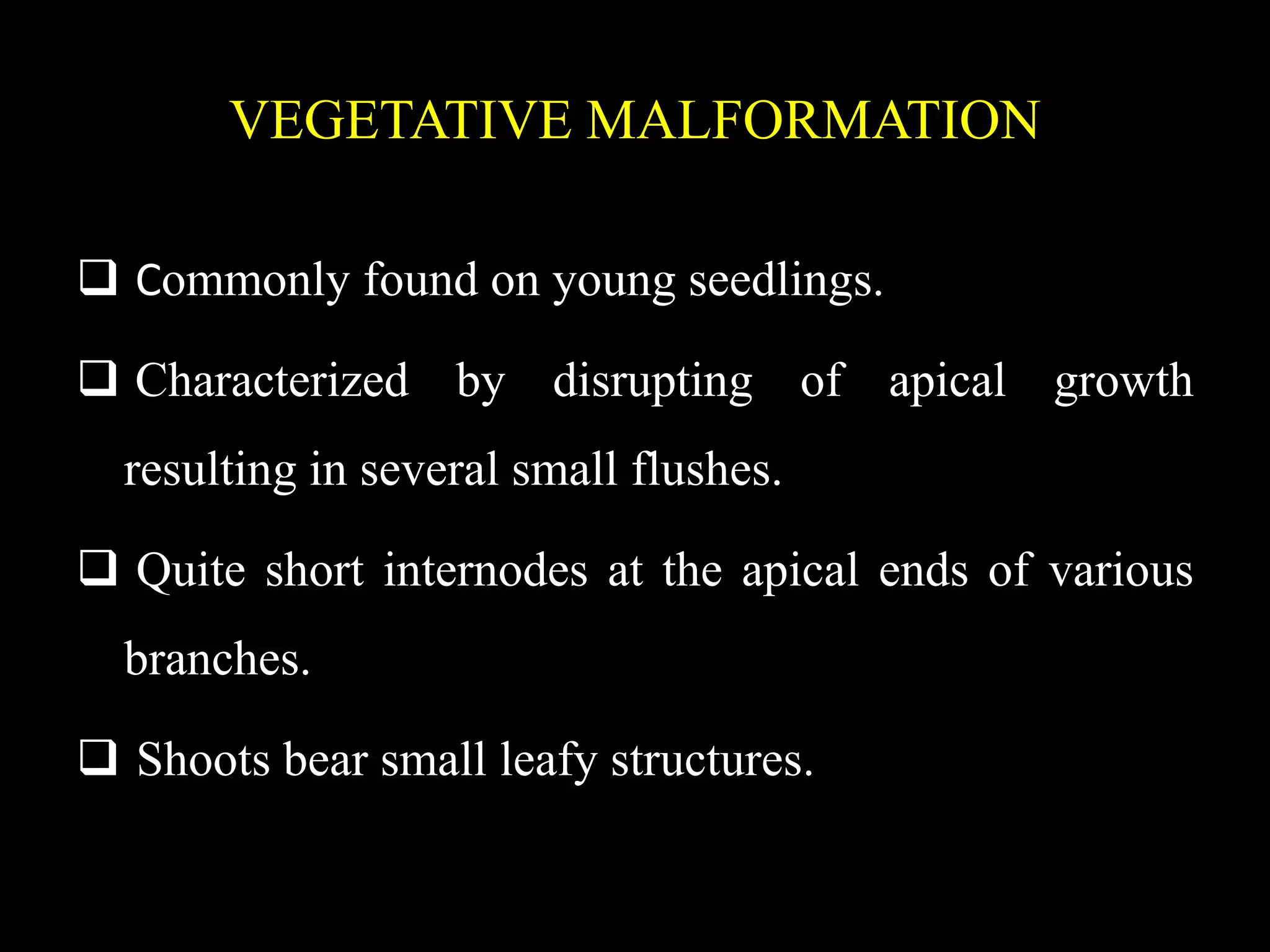 Mango malformation | PPTX