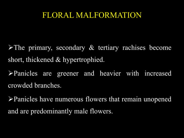 Mango malformation | PPTX | Agriculture | Industries