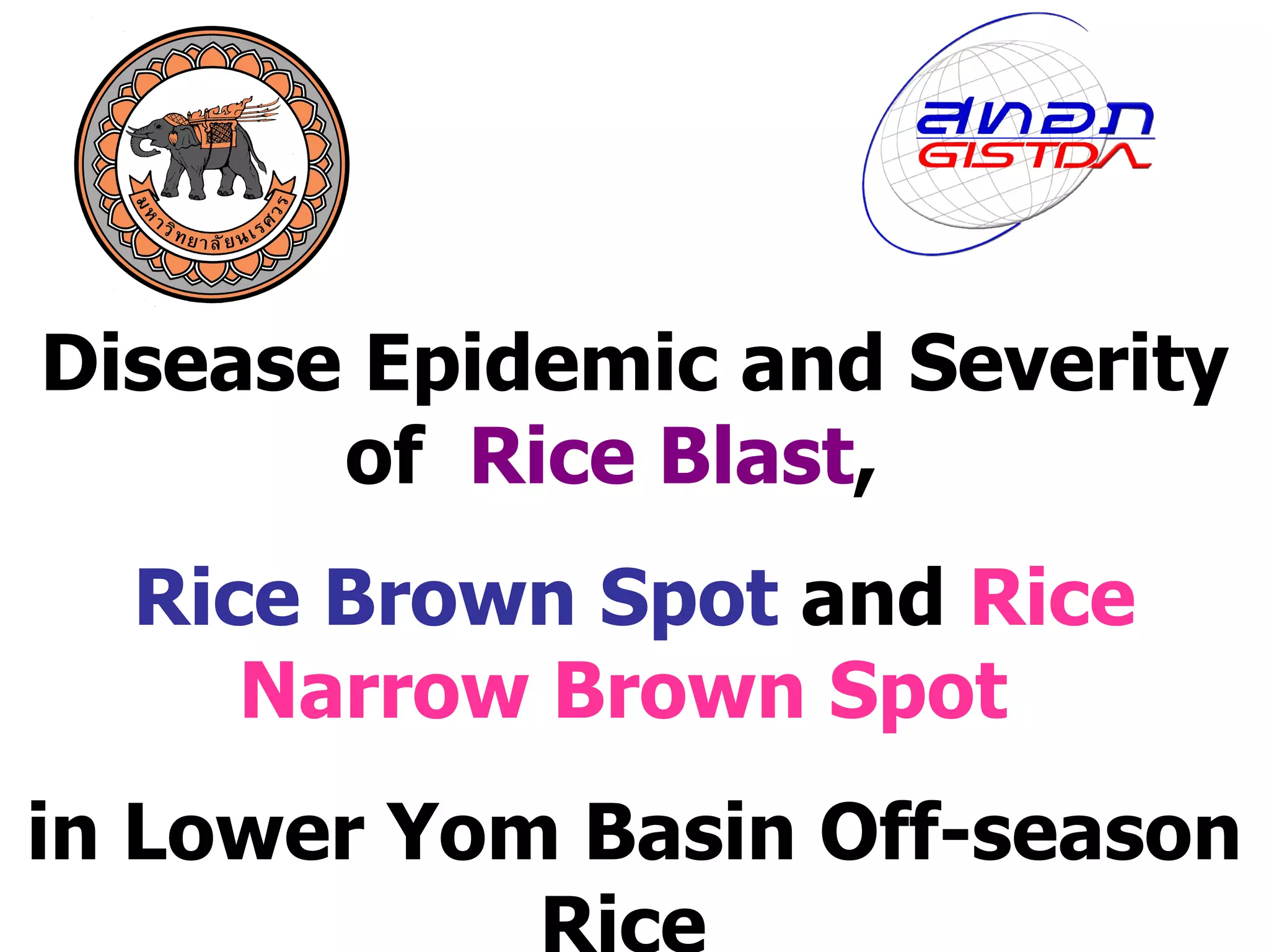 Disease Epidemic and Severity of Rice Blast, Rice Brown Spot and Rice ...