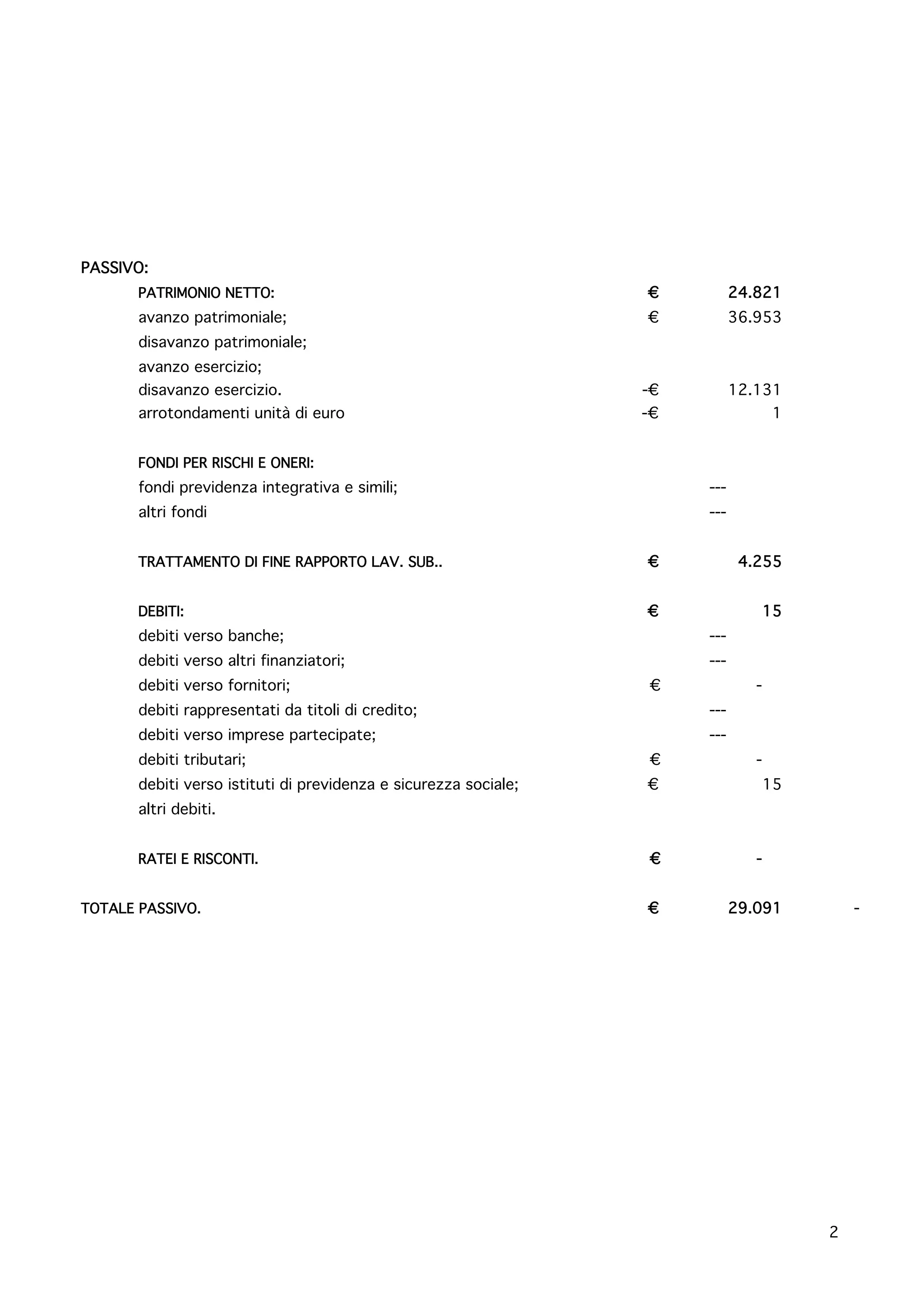 PATT bilancio 2013 | PDF