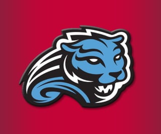 Patten Logo Portfolio | PPT