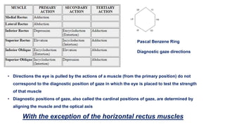 pattern deviations.pptx | Eye and Vision Conditions | Diseases and ...