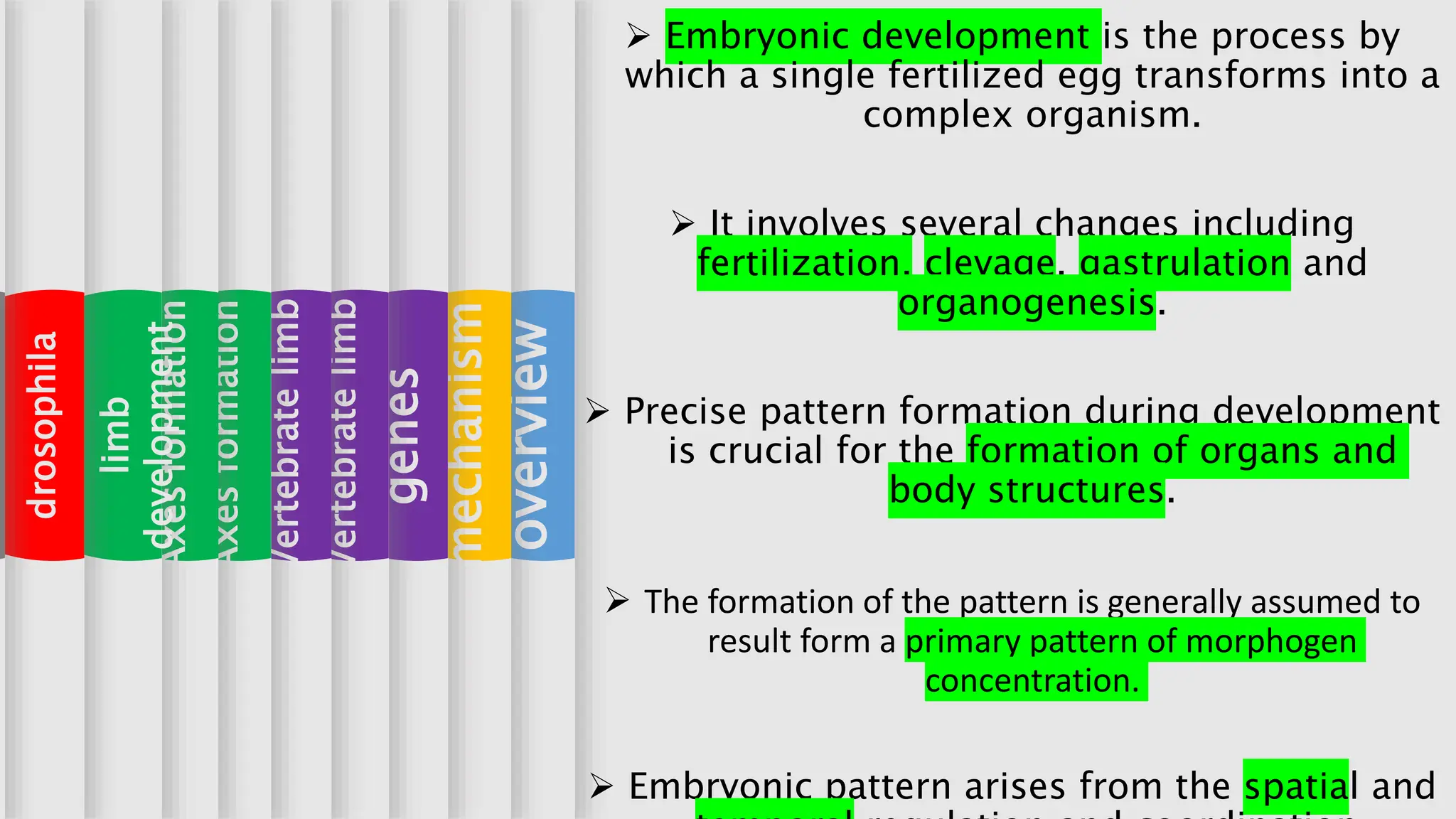 Pattern formation | PPTX