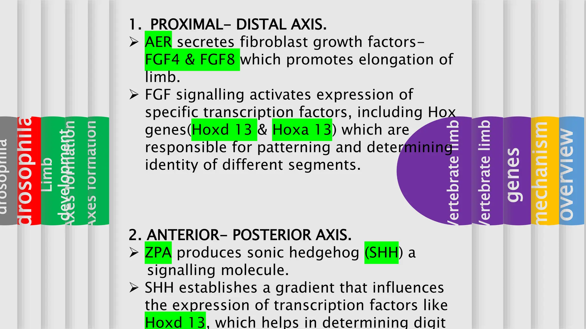 Pattern formation | PPTX