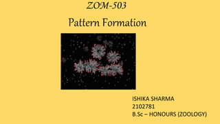 Pattern formation | PPTX