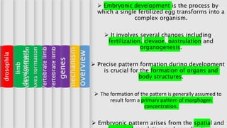 Pattern formation | PPTX