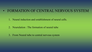 Pattern generation in the nervous system | PPT