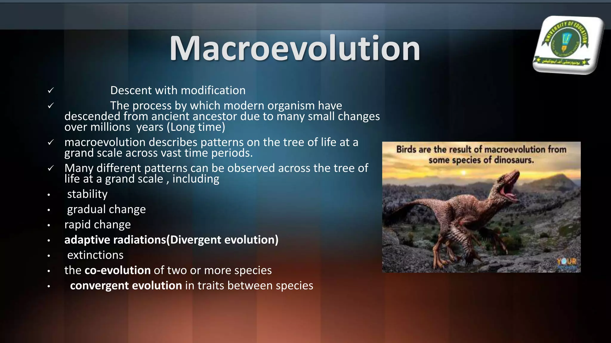 Pattern of evolution | PPTX