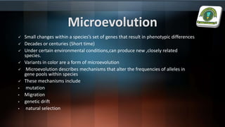 Pattern of evolution | PPTX