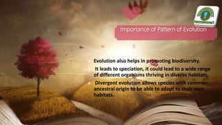 Pattern of evolution | PPTX