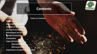 Pattern of evolution | PPTX