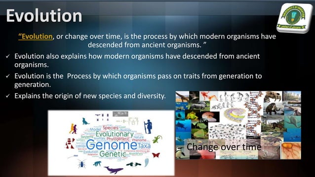 Pattern of evolution | PPTX