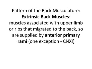 Pattern of the back musculature | PPTX