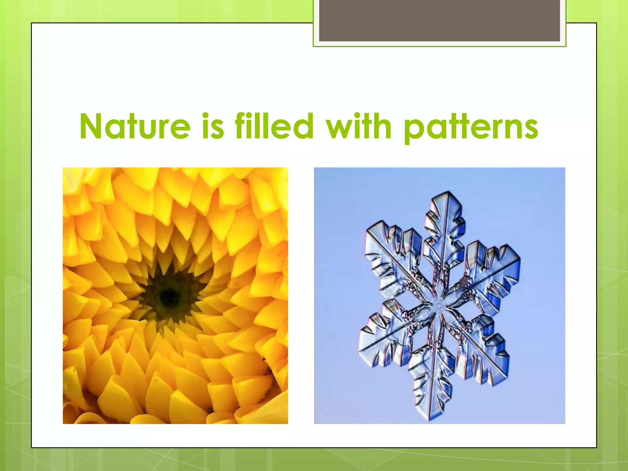 Pattern presentation | PPT