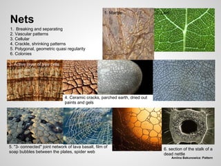 Pattern by Amiina Bakunowicz | PPT