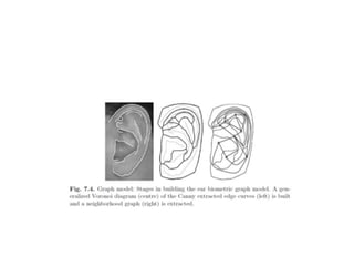 Pattern recognition ear as a biometric | PPT