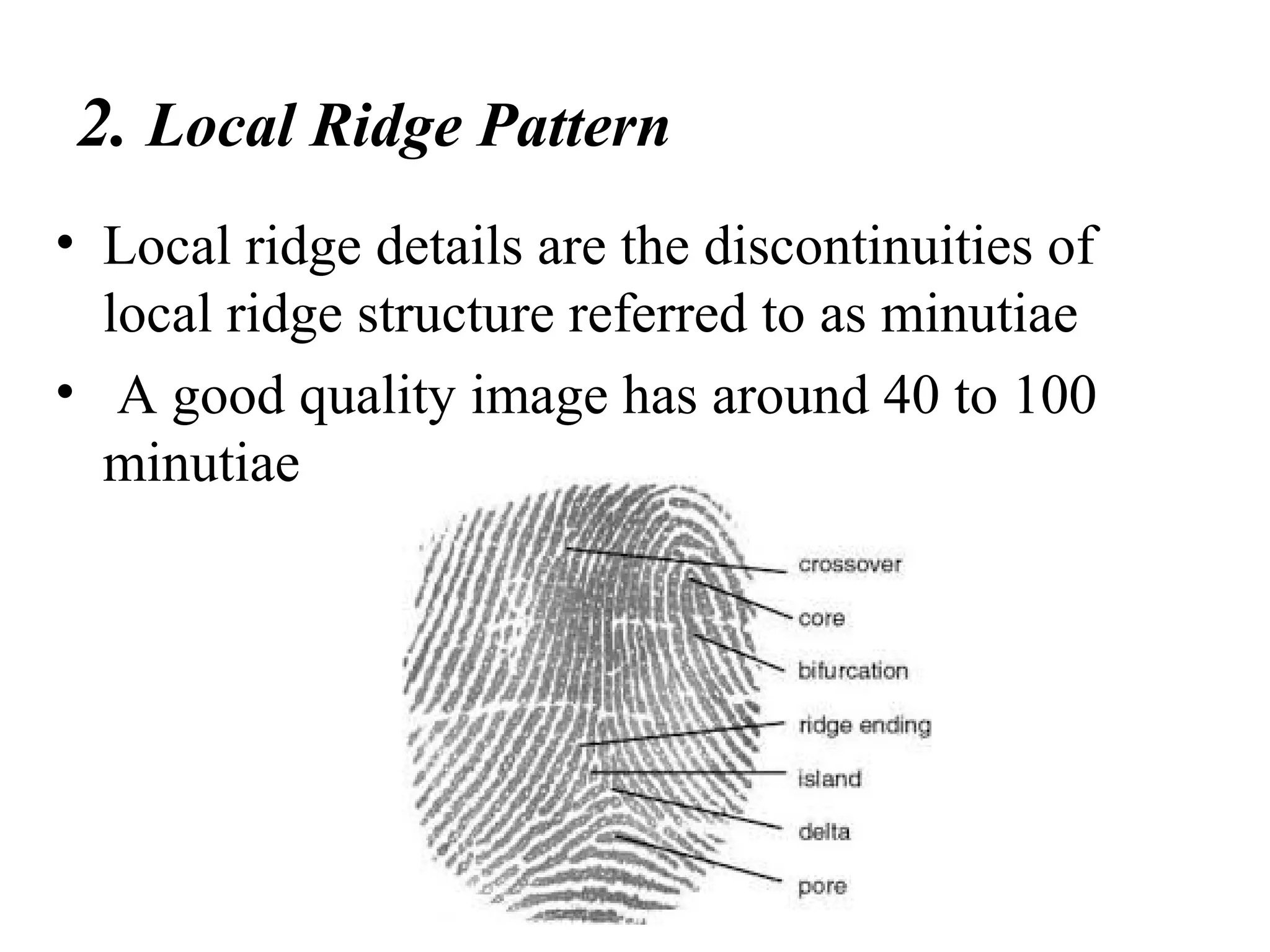 Pattern recognition fingerprints | PPT