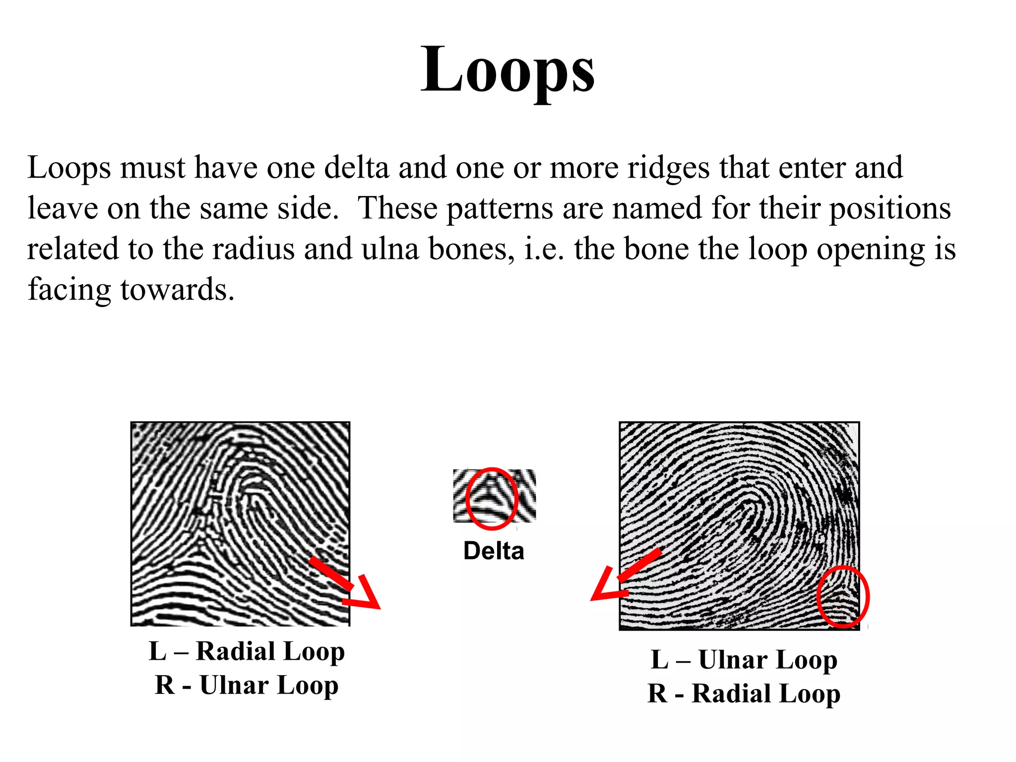 Pattern recognition fingerprints | PPT