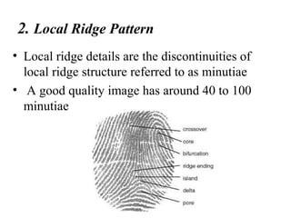 Pattern recognition fingerprints | PPT