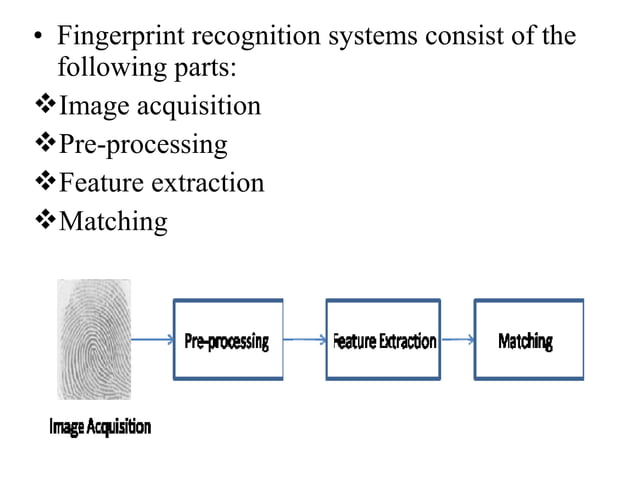 Pattern recognition fingerprints | PPT | Photo Editing Software ...