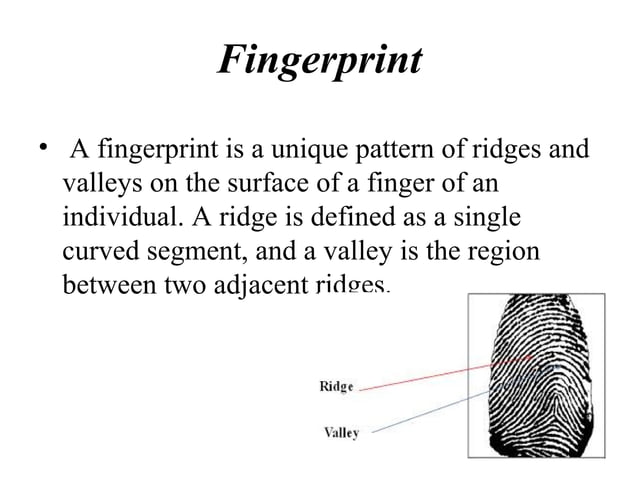 Pattern recognition fingerprints | PPT | Photo Editing Software ...