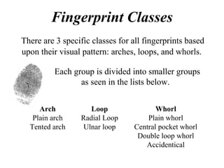 Pattern recognition fingerprints | PPT