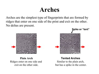 Pattern recognition fingerprints | PPT