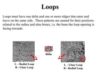 Pattern recognition fingerprints | PPT