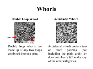 Pattern recognition fingerprints | PPT