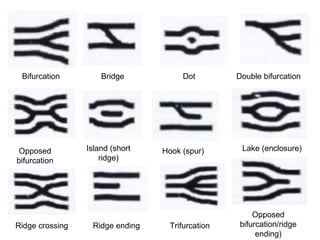 Pattern recognition fingerprints | PPT