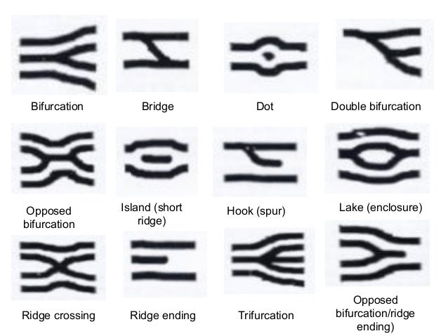 Pattern recognition fingerprints