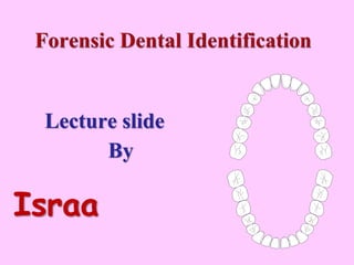 Pattern recognition forensic dental identification | PPT