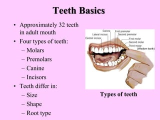 Pattern recognition forensic dental identification | PPT