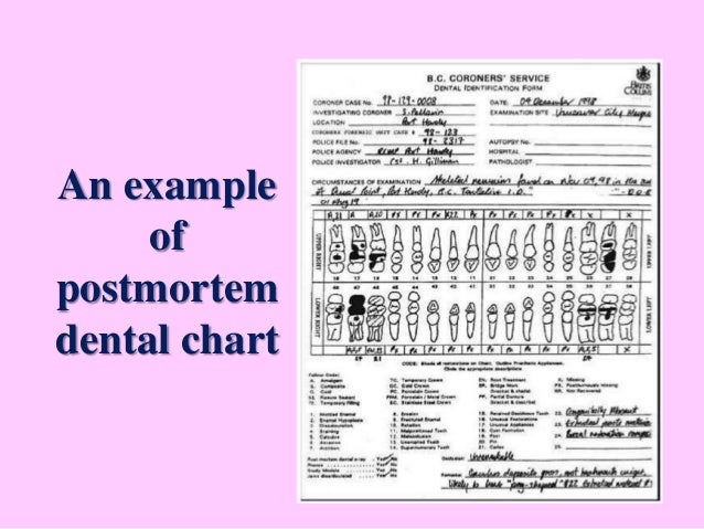 Pattern recognition forensic dental identification