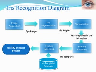 Pattern recognition IRIS recognition | PPTX